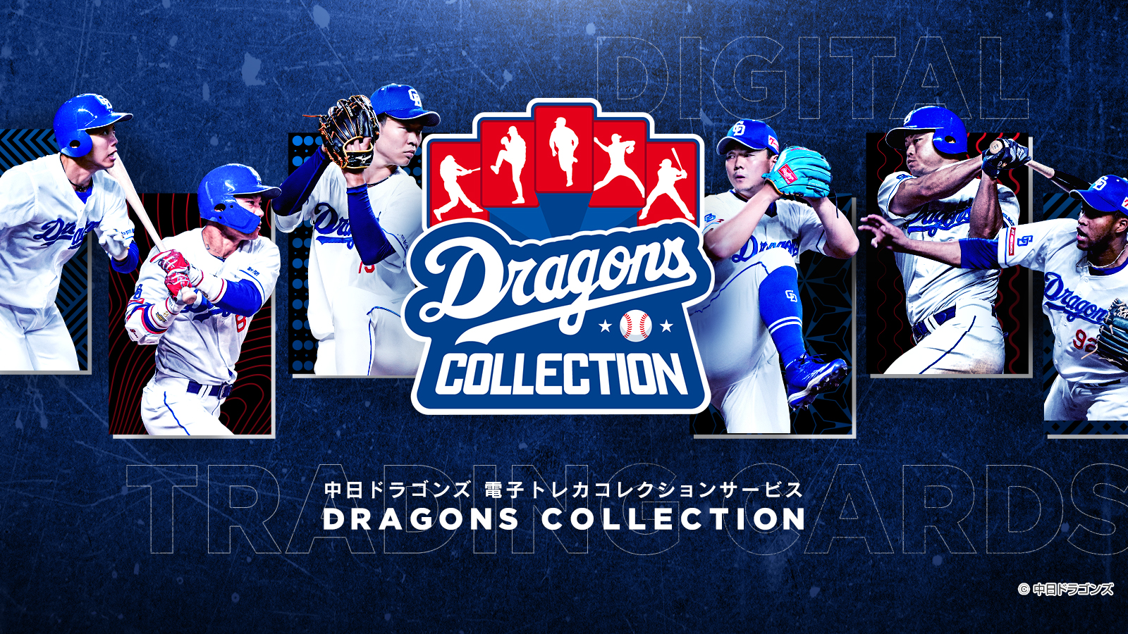 DRAGONS COLLECTION